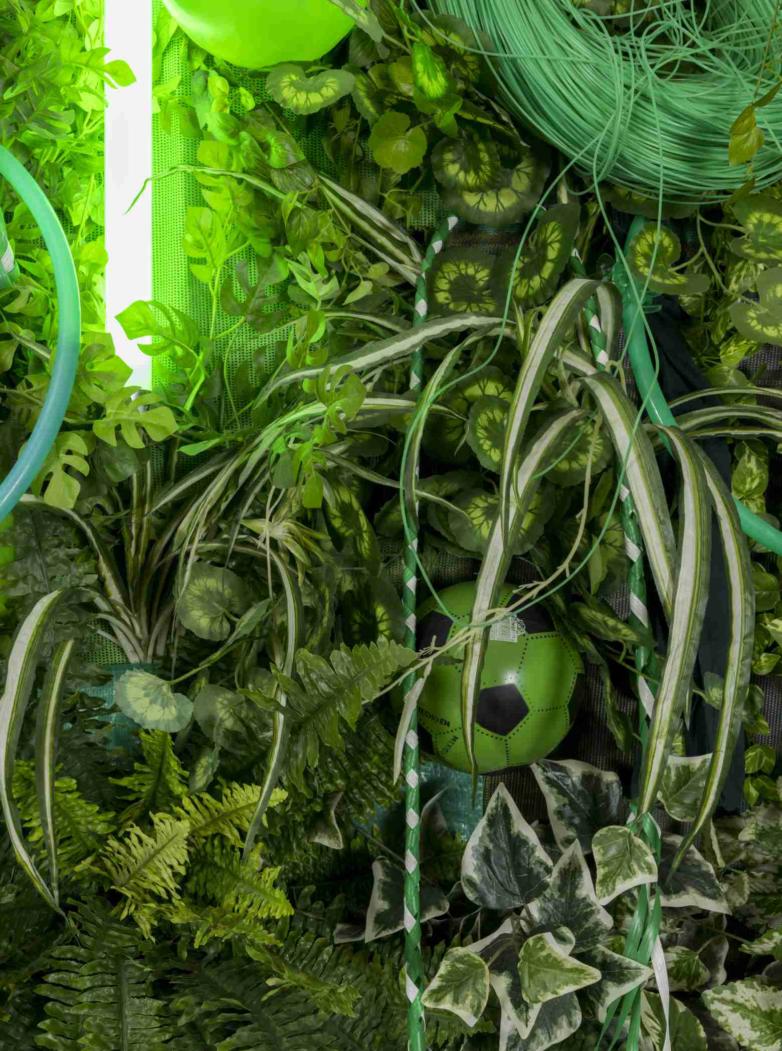 Desde el regazo de un pájaro